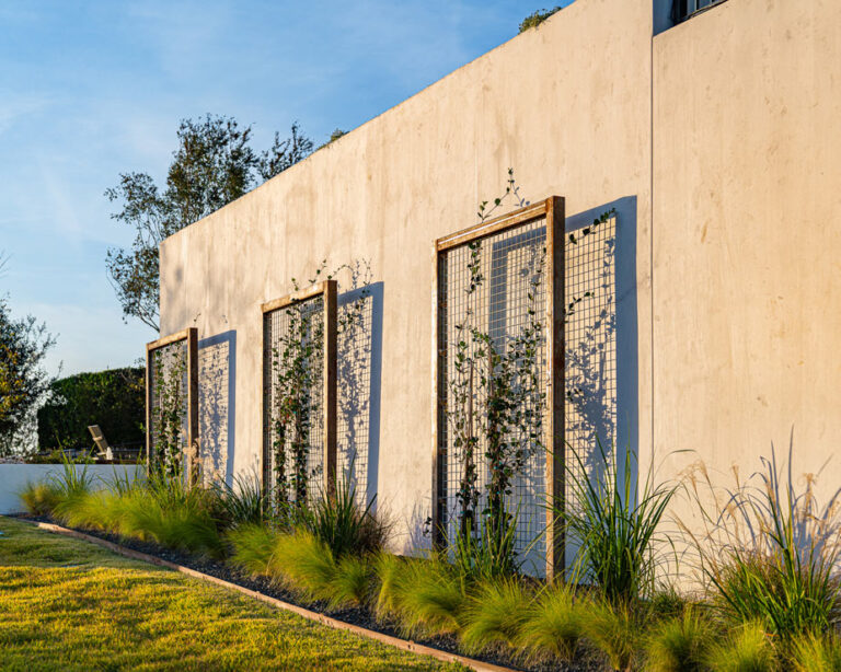 Levels - Agave Landscape Design